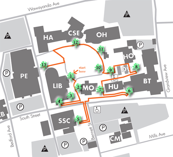 International Tree Tour, SUNY Orange